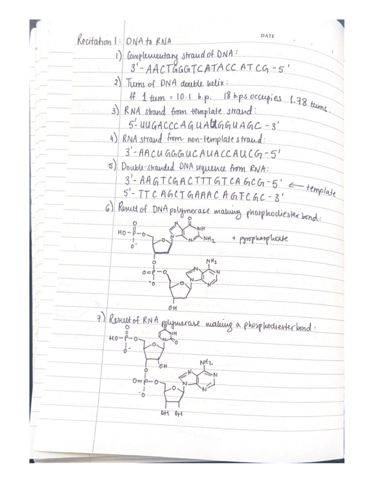Bio Worksheet 1 Notes - M0001 - Studocu