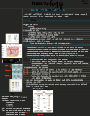 Neuro 2 - Chapter 8: The Chemical Sense - NEUROLOGY EXAM II review ...