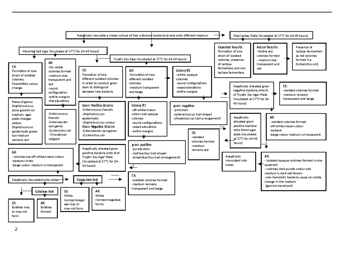 Aseptically inoculate a mixed culture of two unknown bacterial strains ...