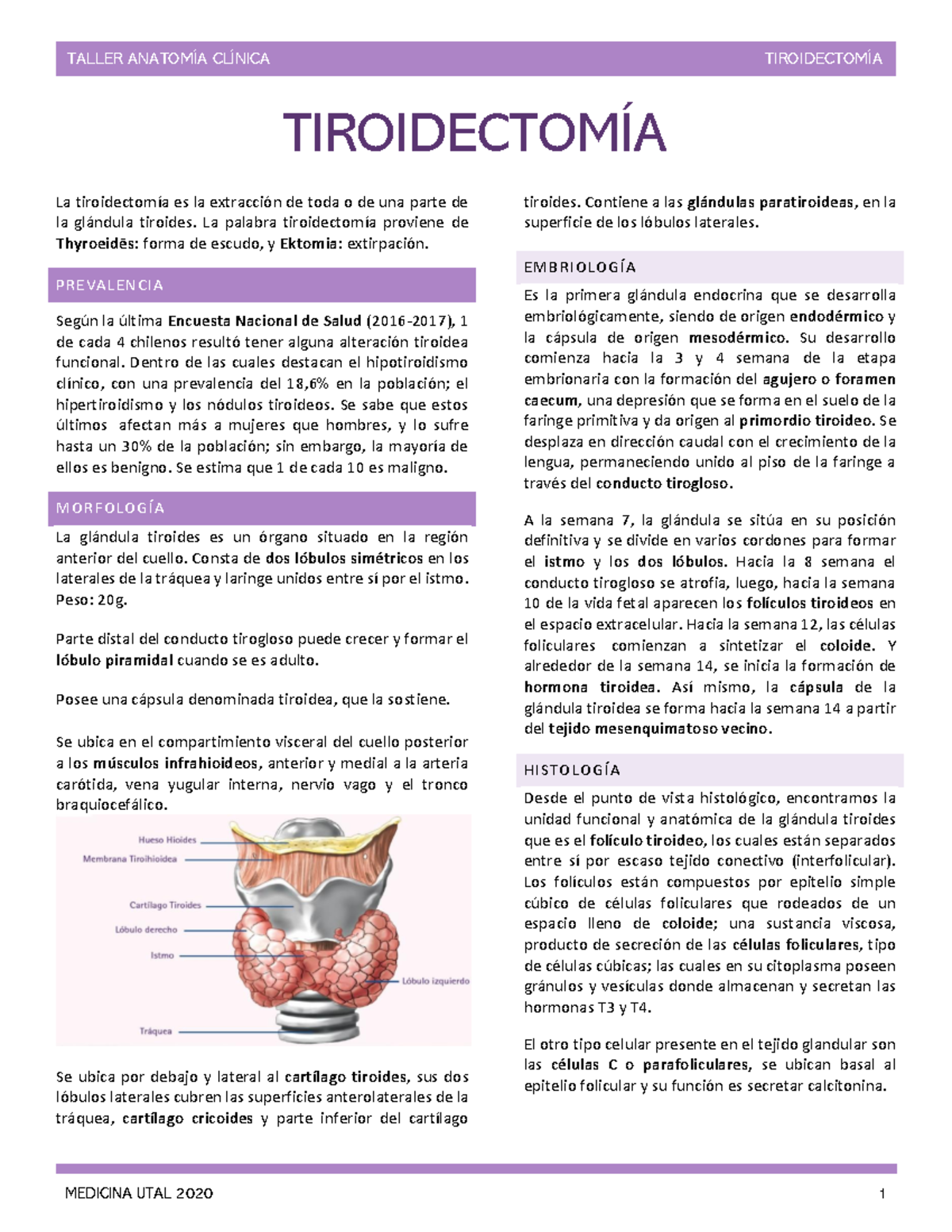 2.- Resumen Tiroidectomia -1 - TIROIDECTOMÍA La tiroidectomía es la ...