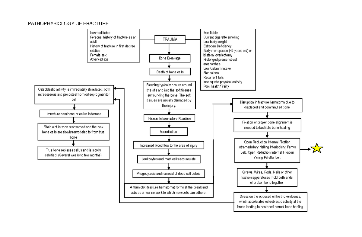 Detailed Nursing pathophysiology for fracture. - PATHOPHYSIOLOGY OF ...