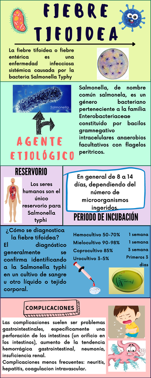 Bacteria - Elephant Toothpaste Instructions Spanish - Pasta de dientes ...