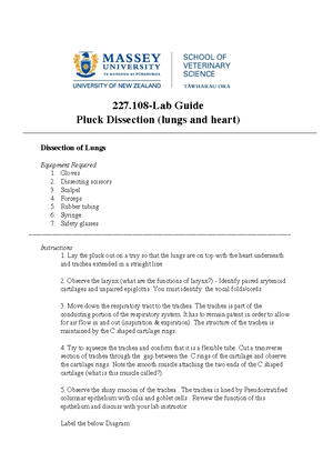 Lab 1: Introduction to the Anatomy Lab And Animal Skeleton - 227-Lab ...