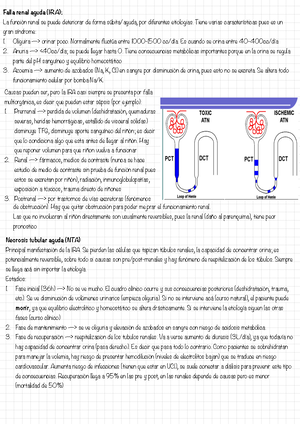 Intro Lab Chart 8 Student Protocol - ठ⃚ ठ⃚ INTRODUCTION TO LABCHART 8 ...
