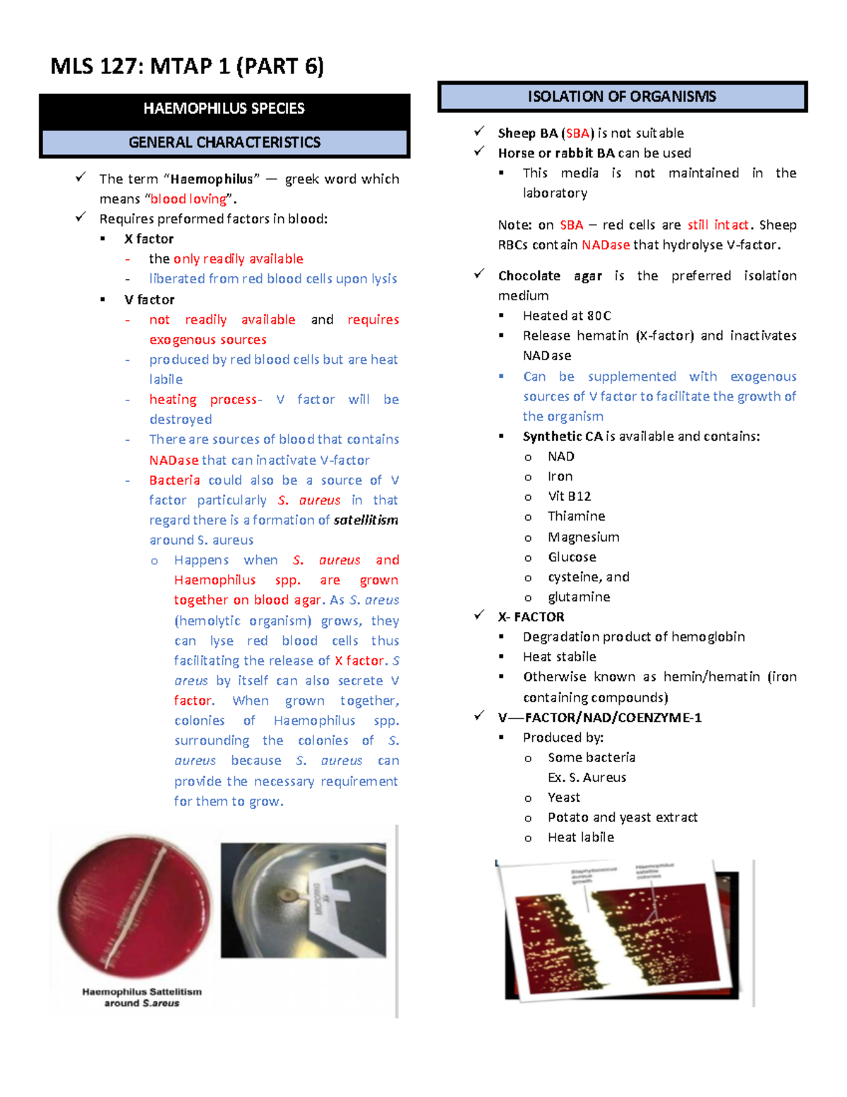 MTAP PART-6- Bacteriology- Review - MLS 127: MTAP 1 (PART 6 ...