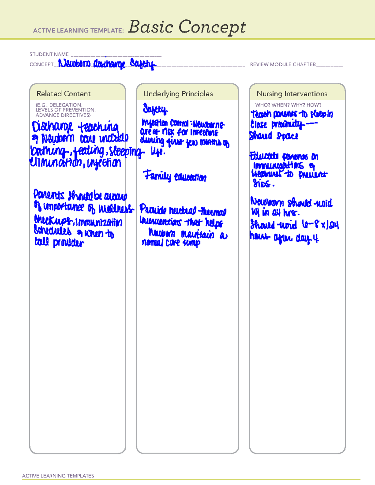 Newborn Discharge Safety - ACTIVE LEARNING TEMPLATES Basic Concept ...