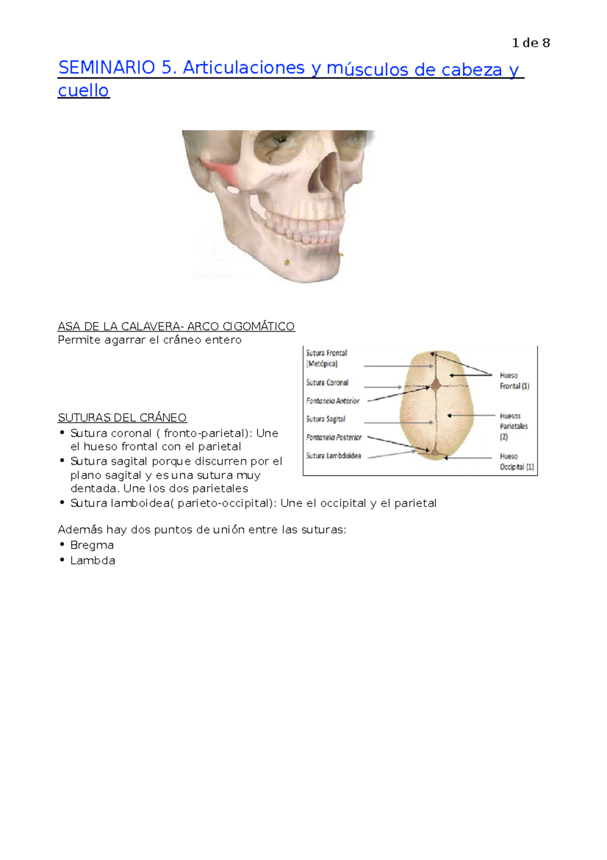 Seminario 5.Articulaciones y músculos de la cabeza y cuello - SEMINARIO 5. Articulaciones y ...