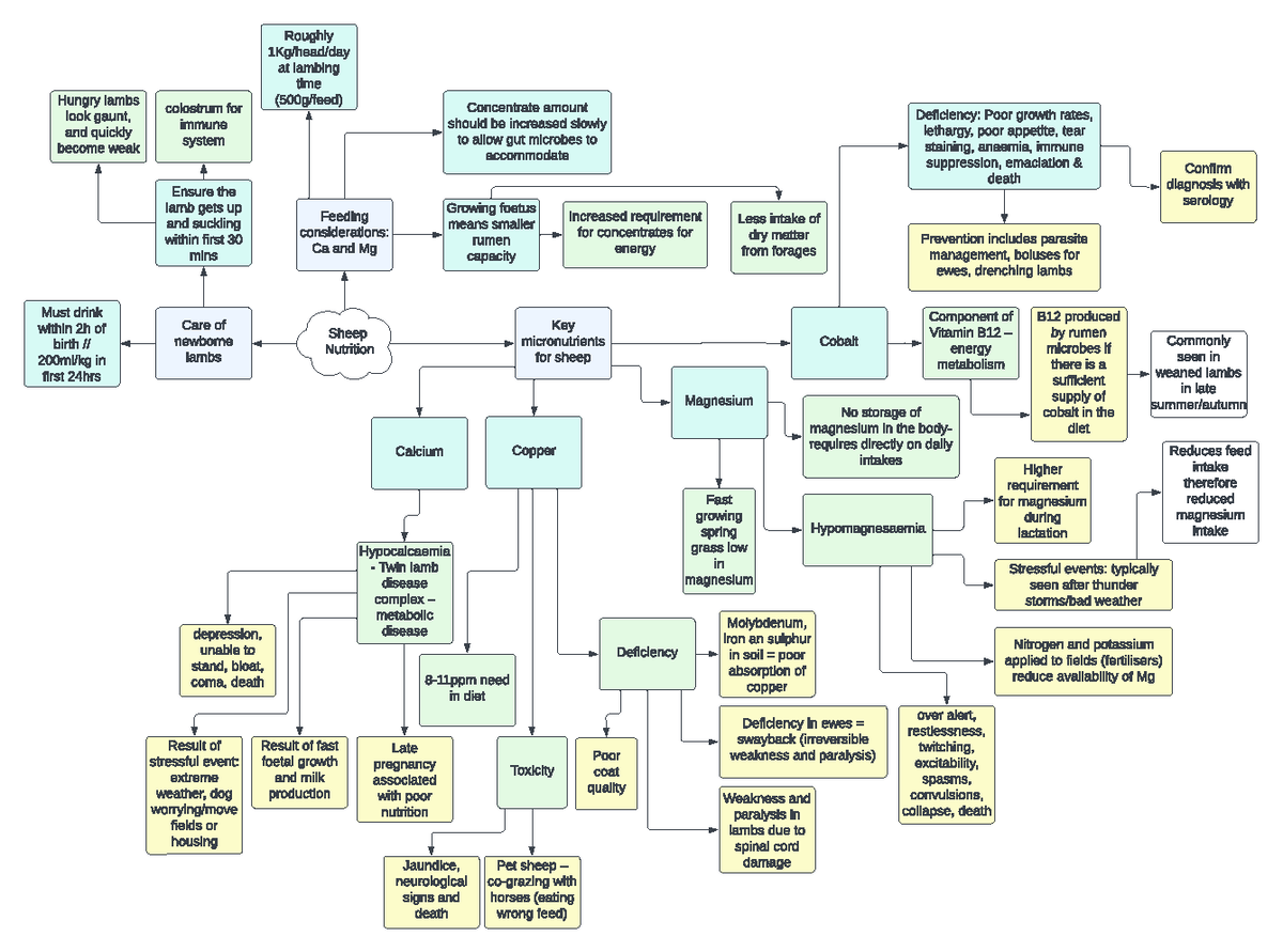 AS1: Sheep Nutrition - Sheep Nutrition Feeding considerations: Ca and ...