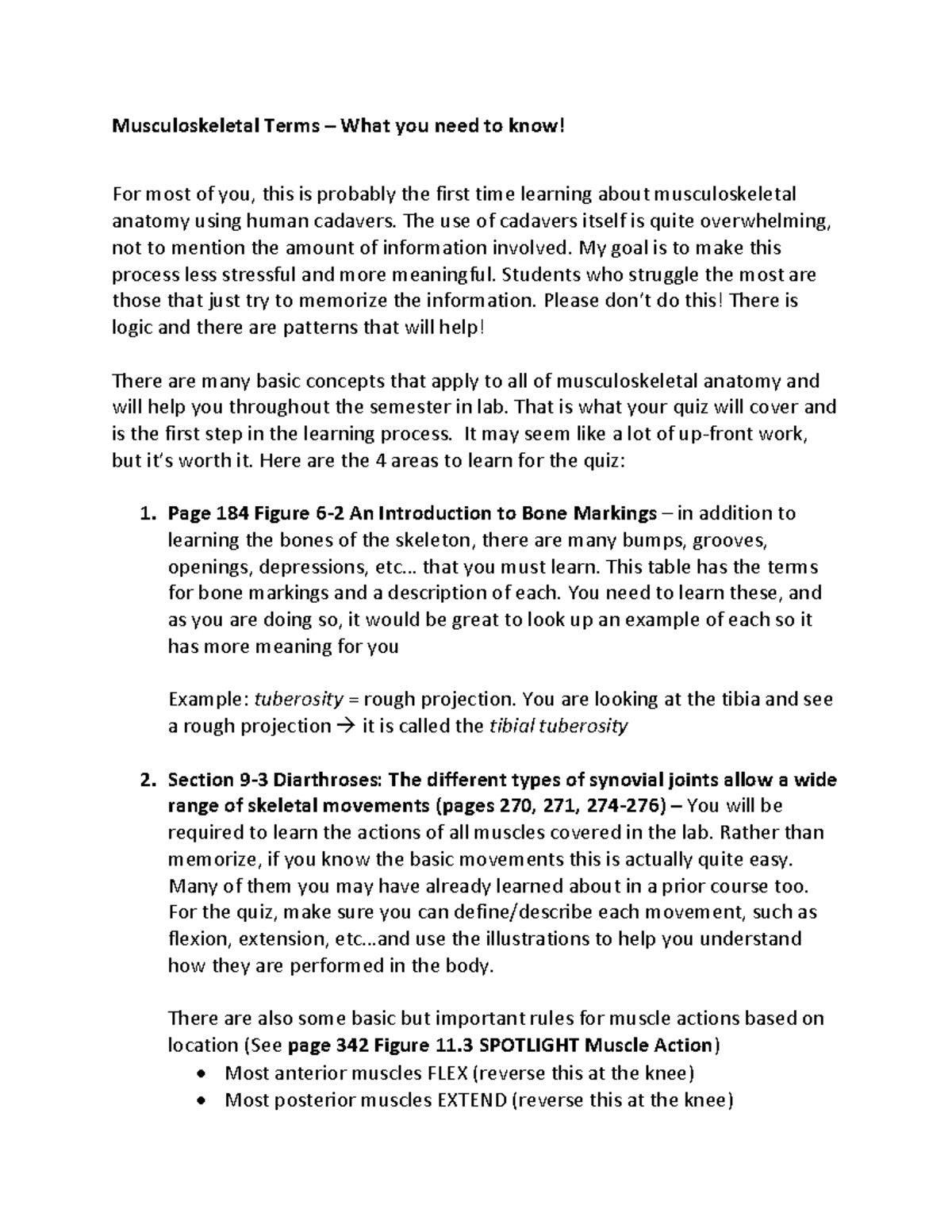 Muscles - Notes. - Musculoskeletal Terms – What you need to know! For ...