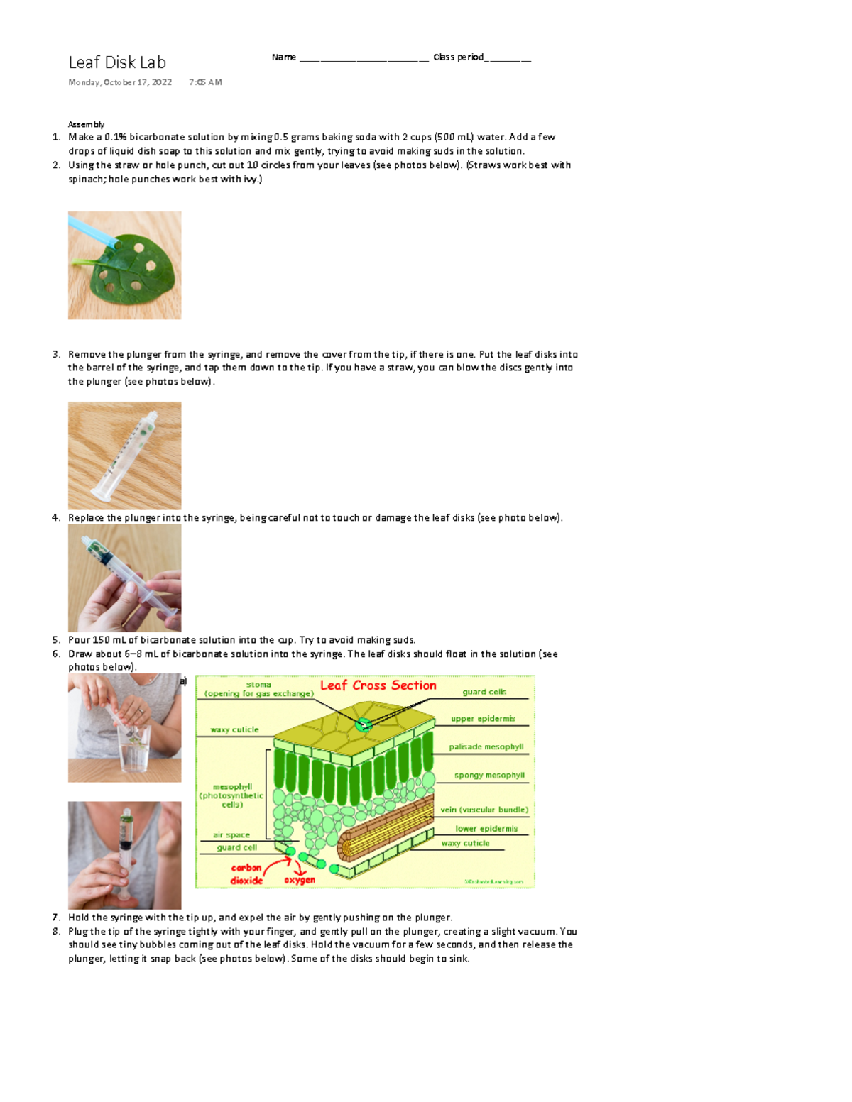 Leaf Disk Lab - Leaf Disk Lab - Assembly Make a 0% bicarbonate solution ...