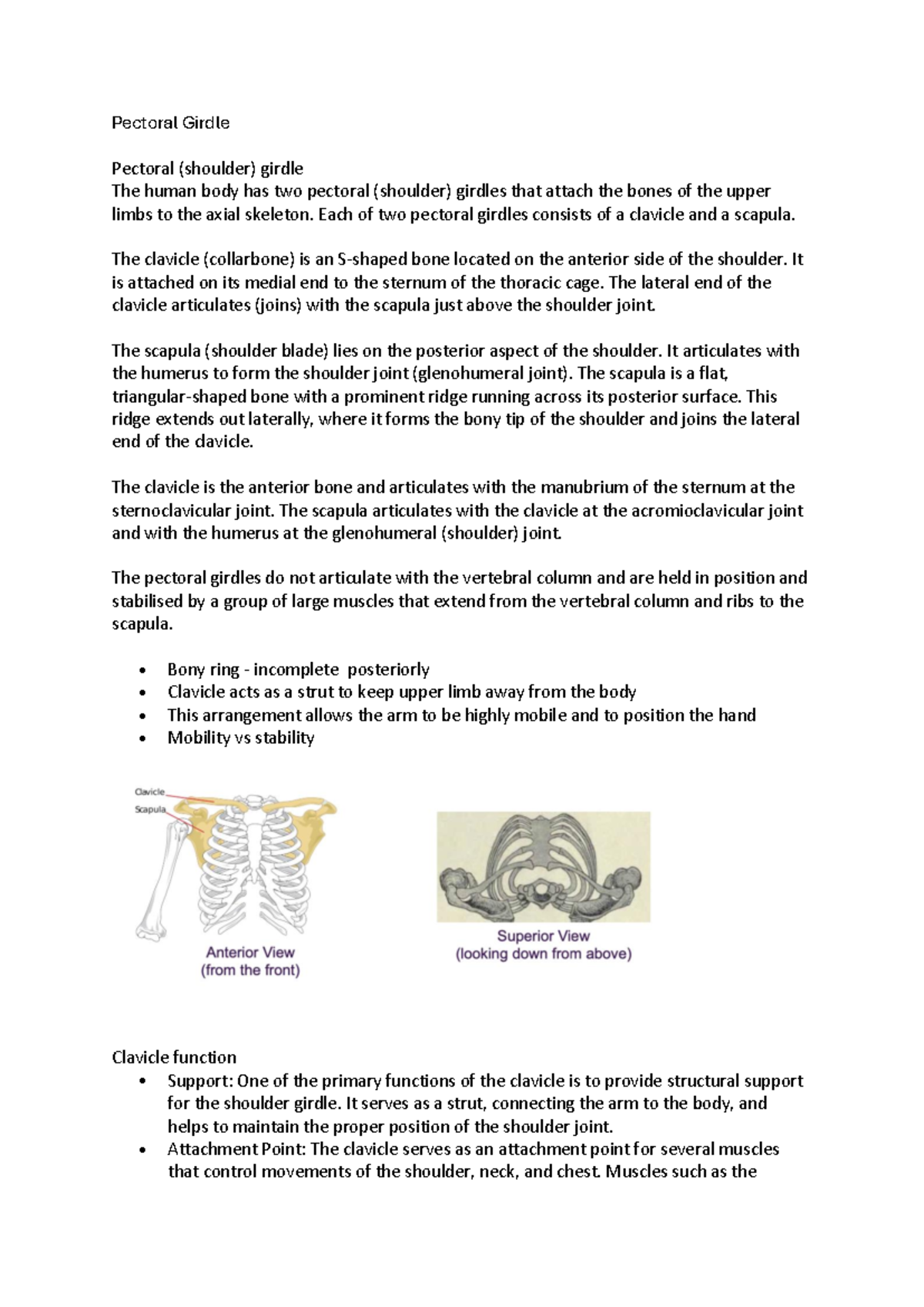 Pectoral Girdle - Pectoral Girdle Pectoral (shoulder) girdle The human ...