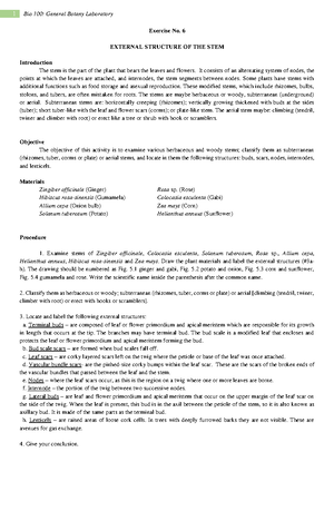 Dichotomous Key - Biology - Studocu