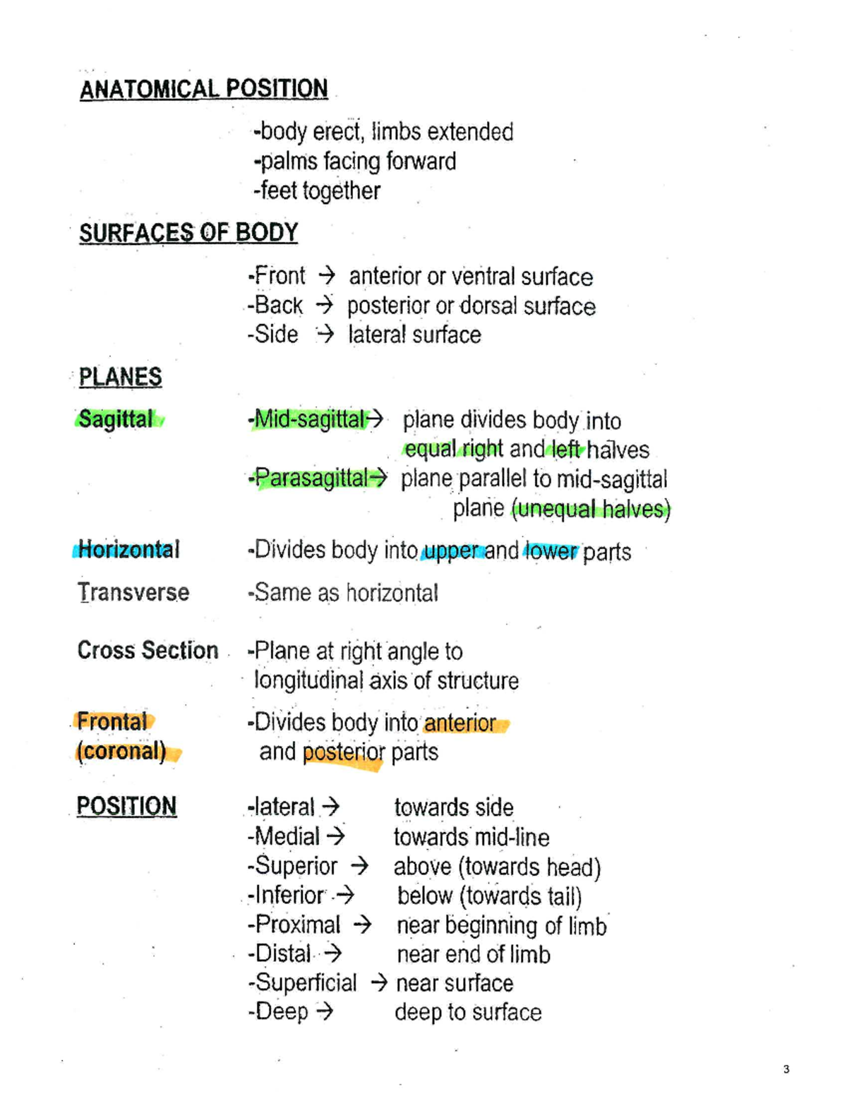 Skeletal System Anatomy - AP 1500 - Studocu