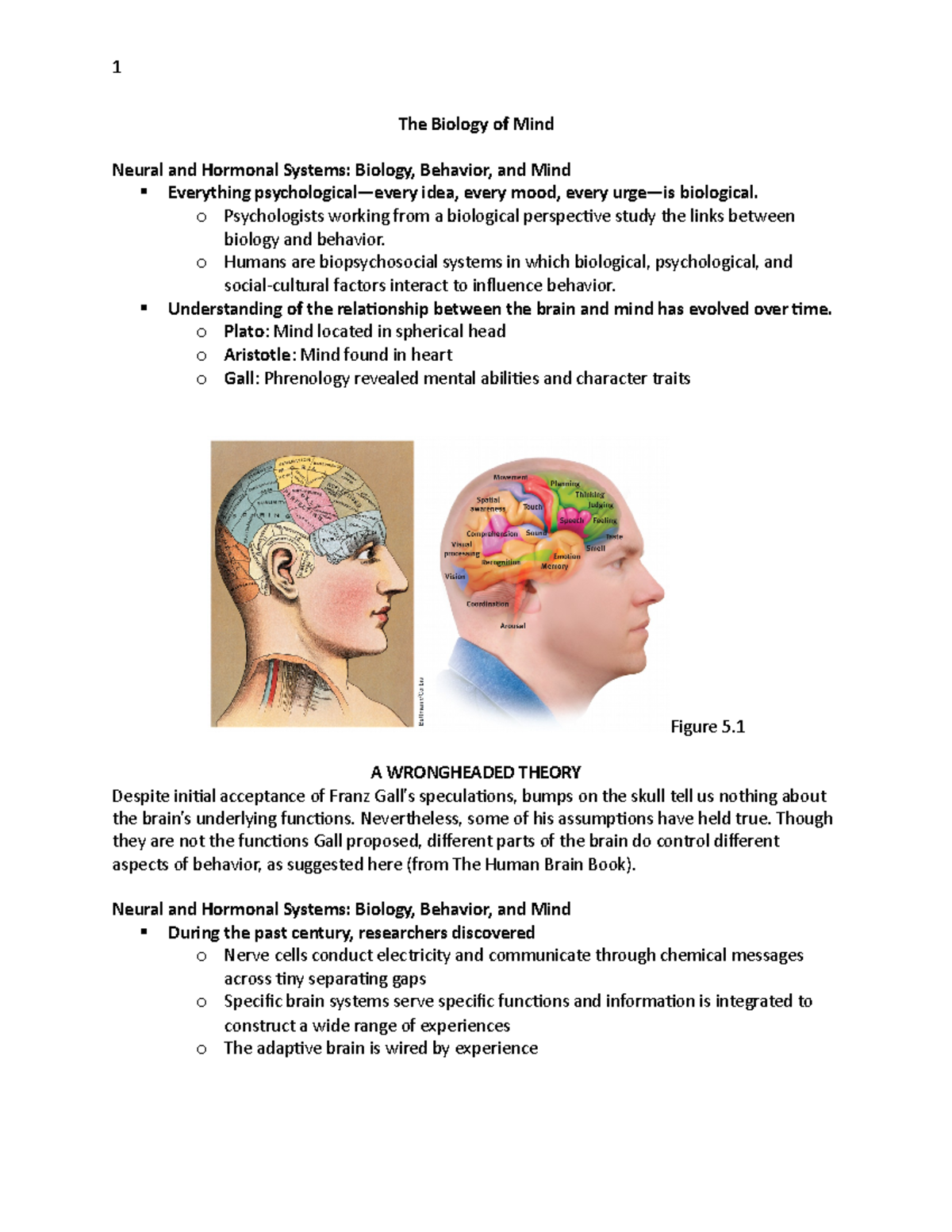 Psych Chap 2 - lecture notes - The Biology of Mind Neural and Hormonal ...
