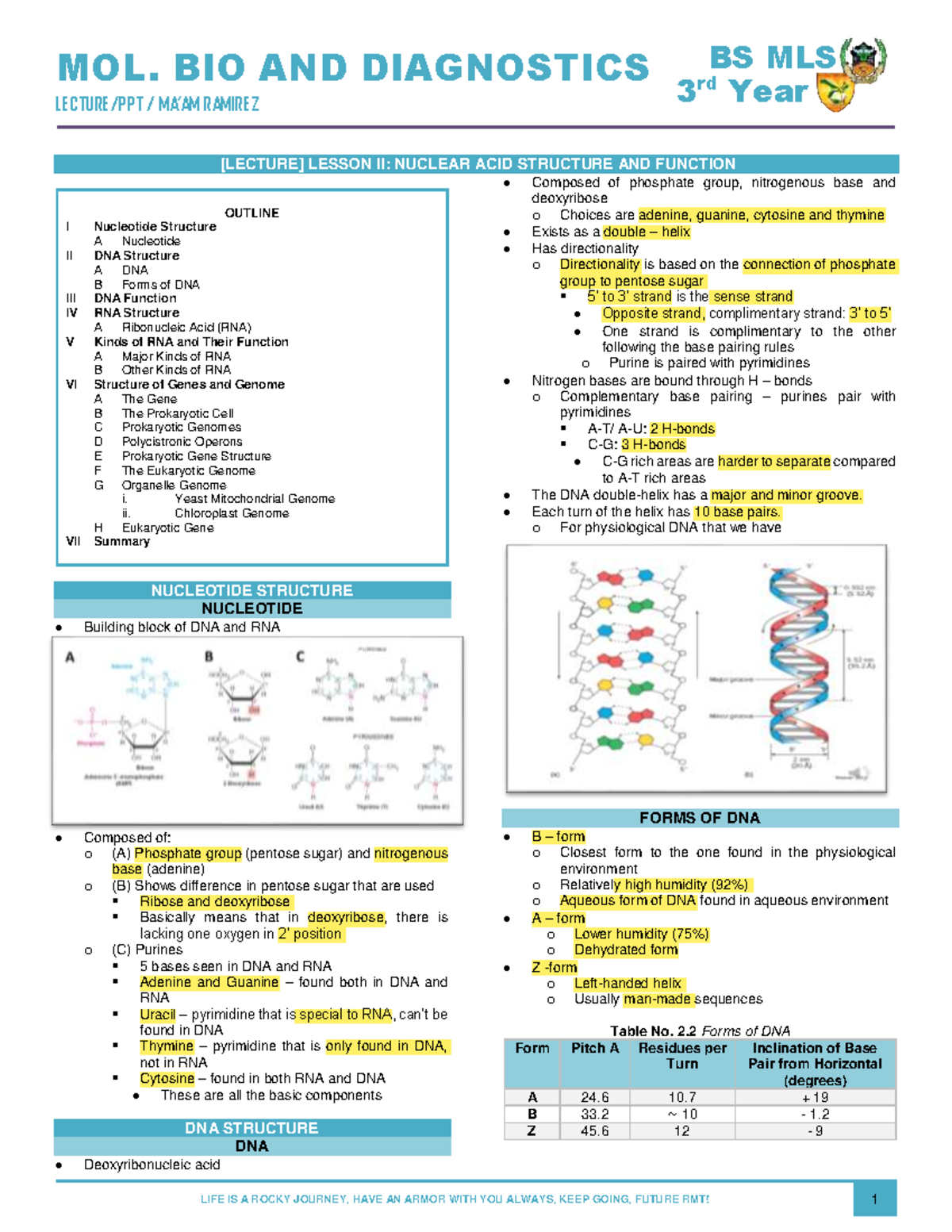 MOL BIO Trans LEC 2 - Nucleic Acids and Genome - MOL. BIO AND ...