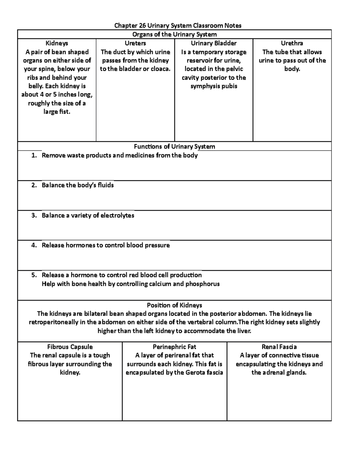 Chapter+26+Urinary+System+Classroom+Notes updated copy - Chapter 26 ...