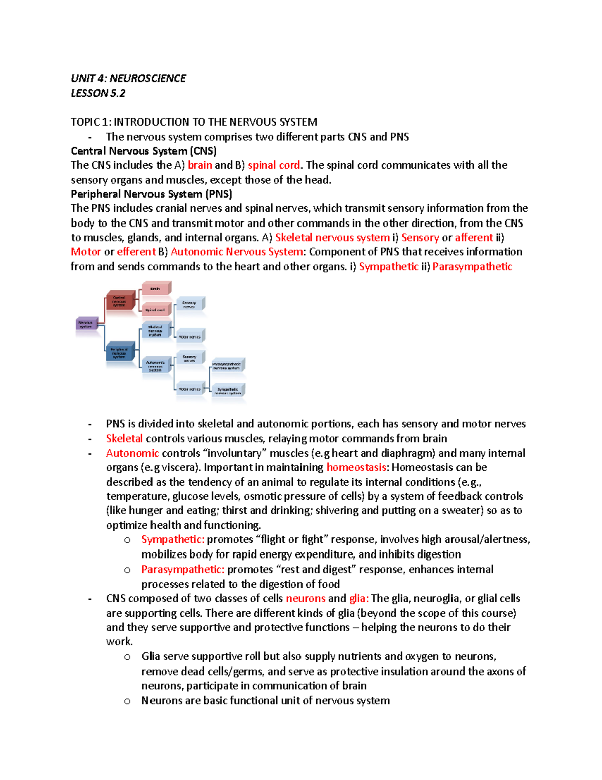 UNIT 4 Notes - UNIT 4: NEUROSCIENCE LESSON 5. TOPIC 1: INTRODUCTION TO ...