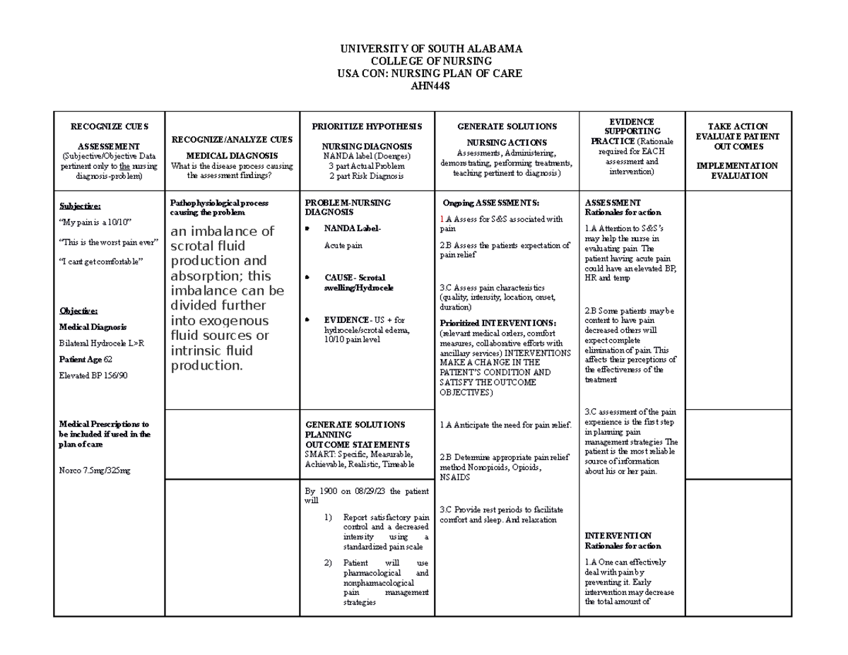 Acute Pain Care Plan - care - RECOGNIZE CUES ASSESSEMENT (Subjective ...
