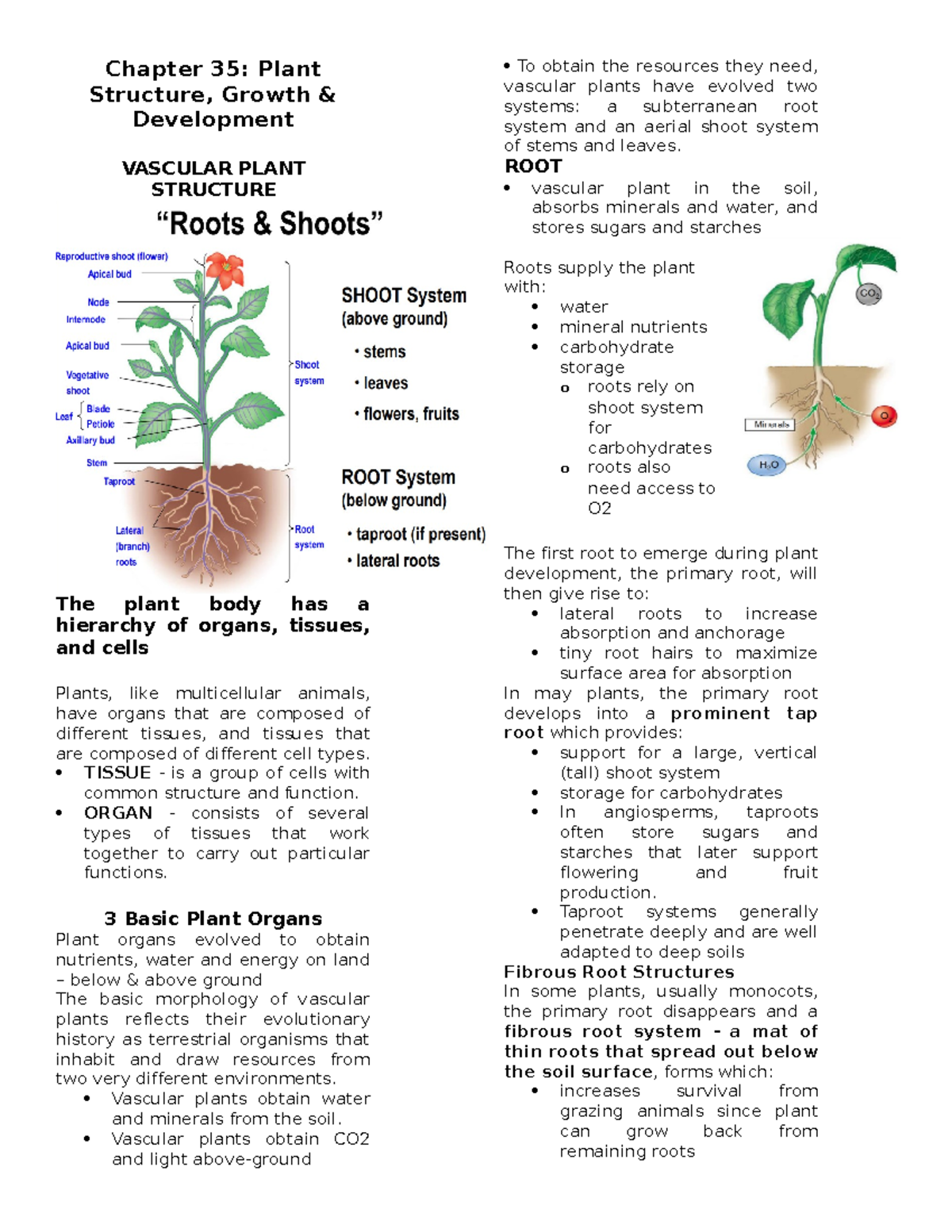 Chapter 35 AND 36 BIO LEC - Chapter 35: Plant Structure, Growth ...