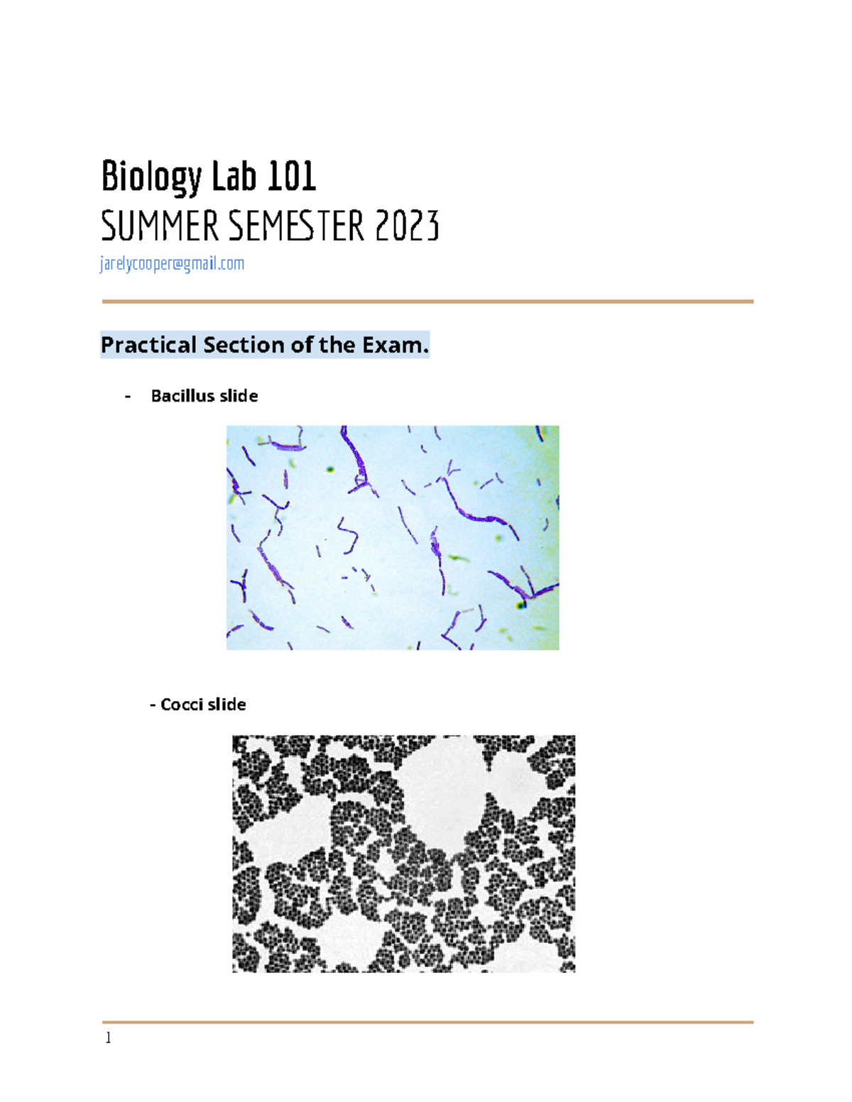 Class notes - study guide - Biology Lab 101 SUMMER SEMTER 2023 ...