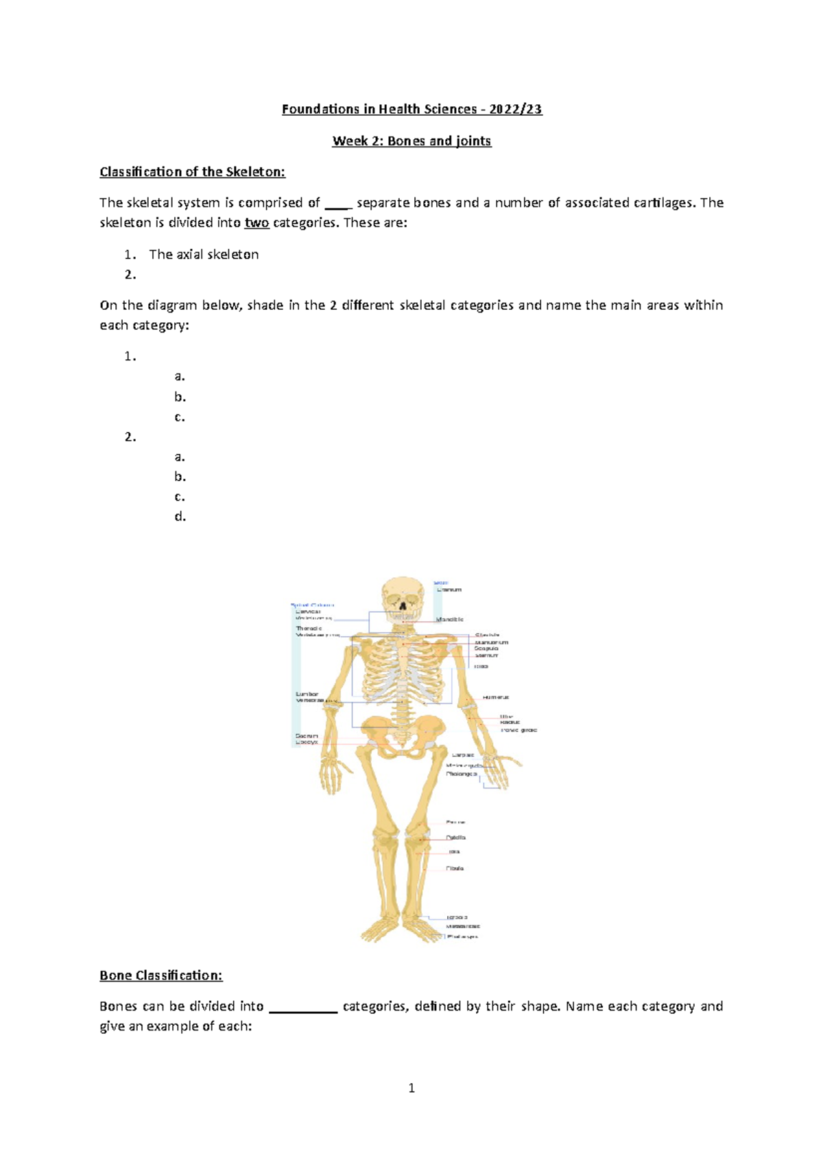 Session 2 worksheet - bones and joints student version - Foundations in ...