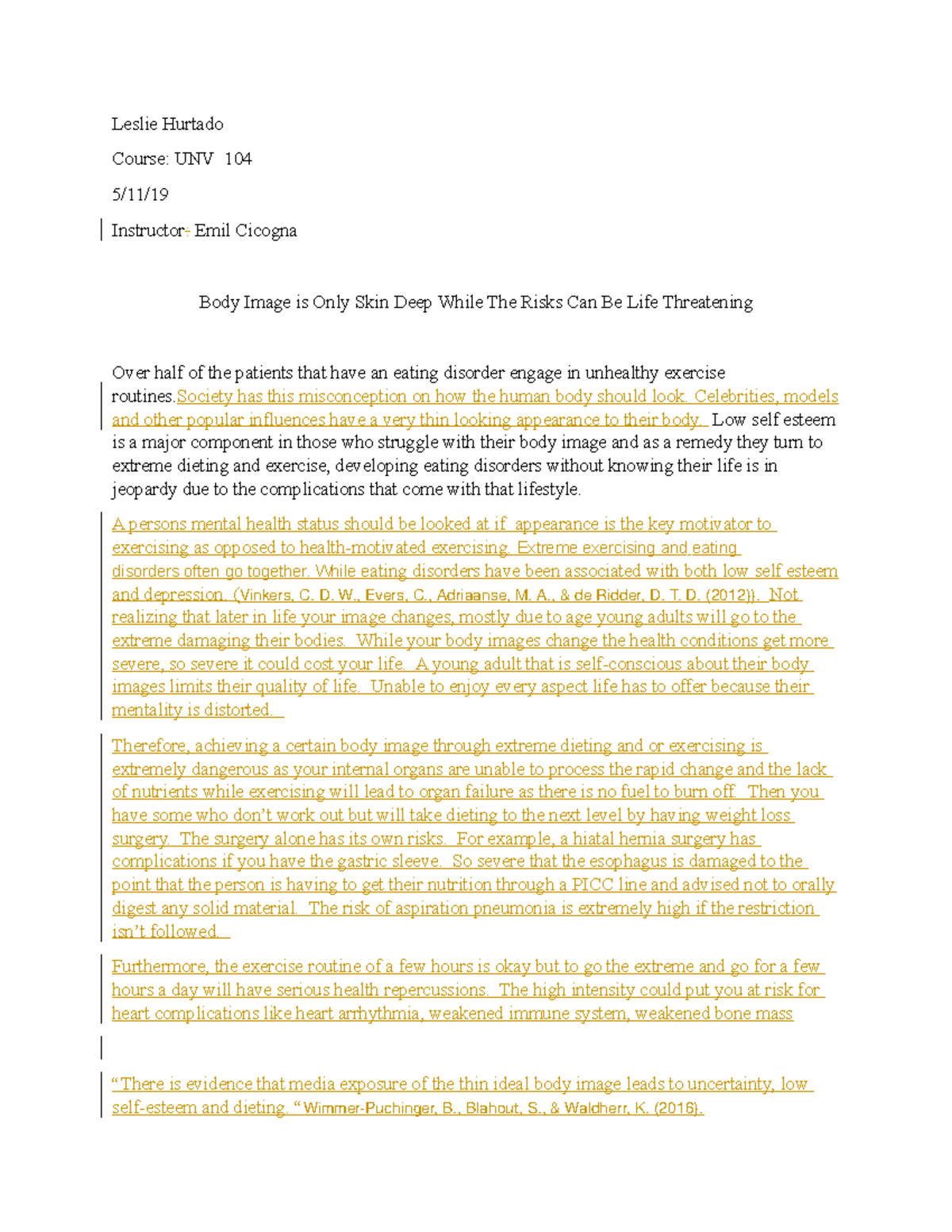 unv 104 - essay Body Image is Only Skin Deep While The Risks Can Be ...