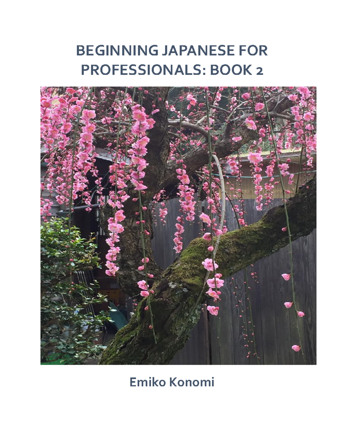 Beginning Japanese for Professionals Book 2 - BEGINNING JAPANESE FOR ...