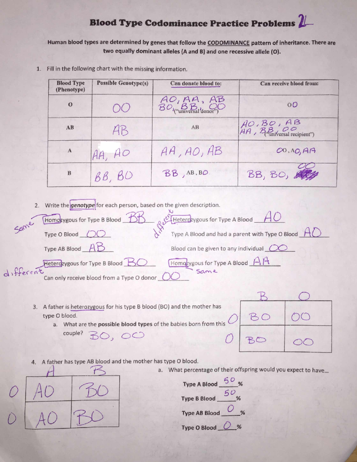 Bloodtypecodominancepracticeproblems answerkey - Studocu