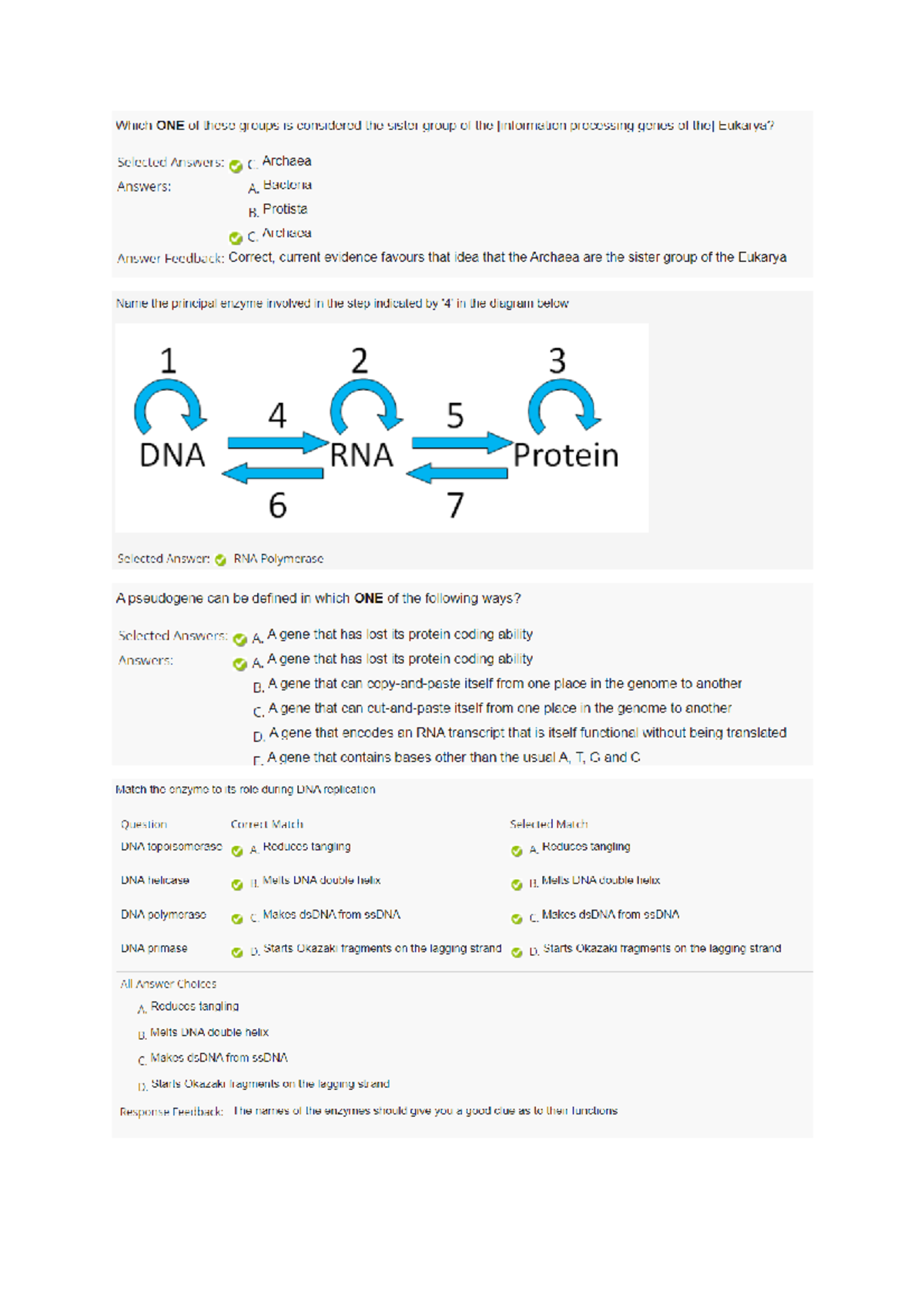 Molecular Biology MCQs (2) - Studocu