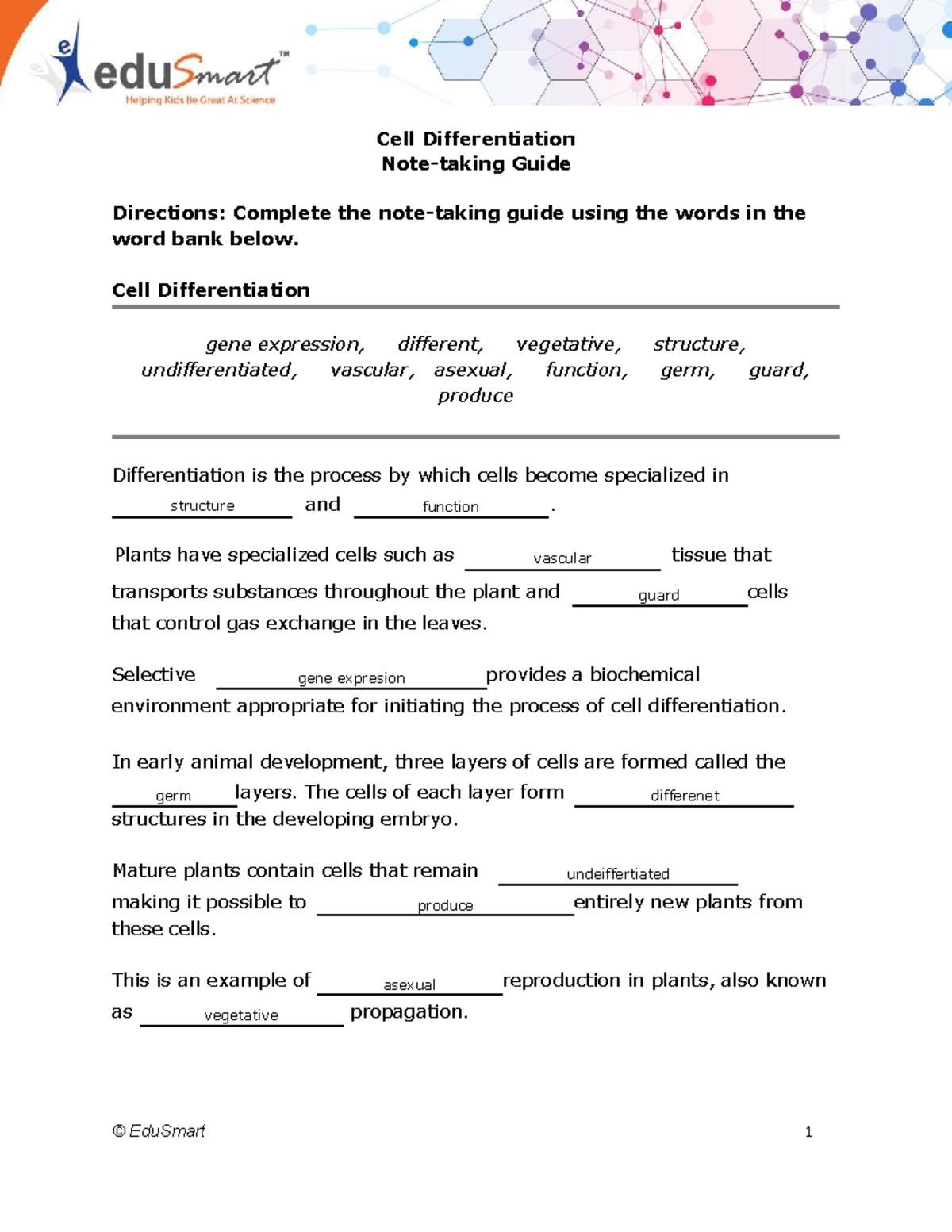 B05CN-Cell Differentiation - Cell Differentiation Note-taking Guide ...