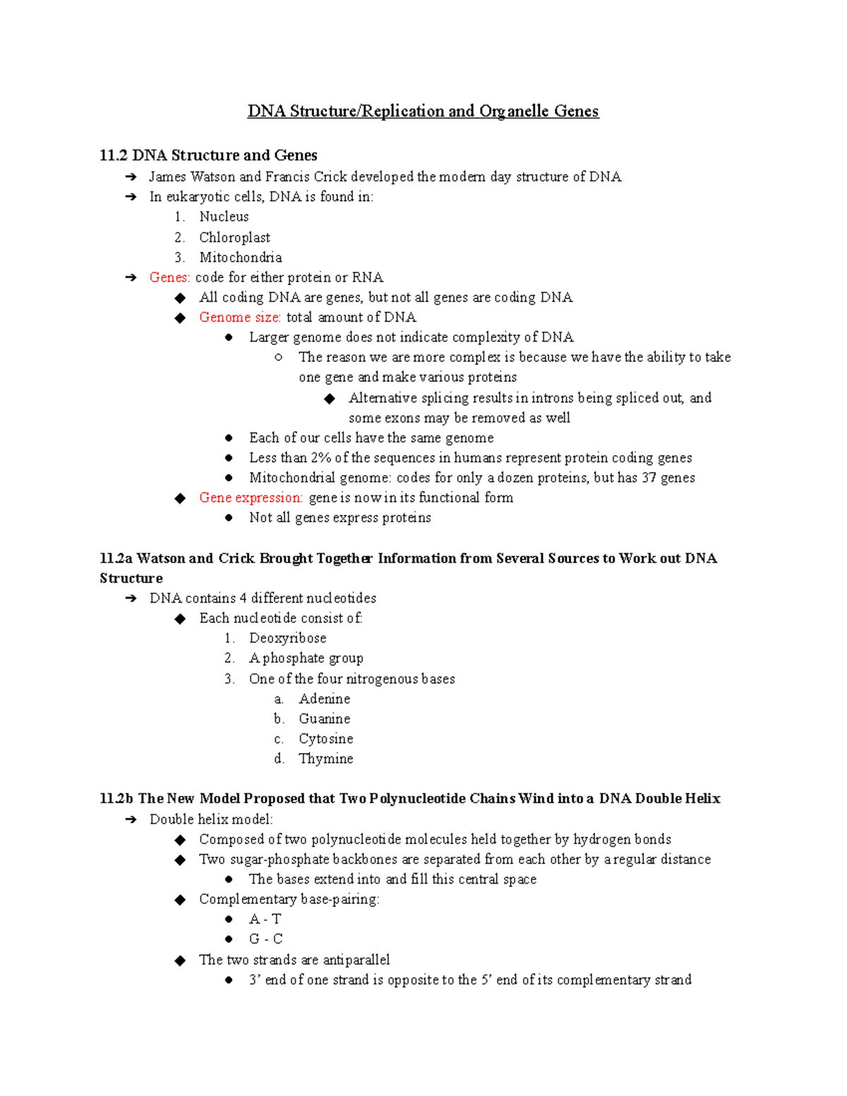 Topic #7 DNA Structure Replication and Organelle Genes - DNA Structure ...