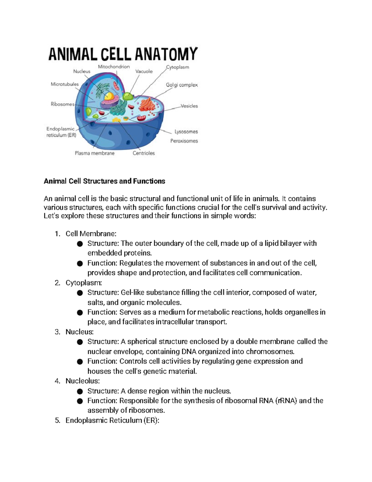 Animal Cell Structures and Functions - It contains various structures ...