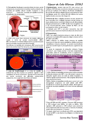 Morfofuncional ASE 20 - Roteiro 3 - Morfofuncional: ASE – Roteiro Colo ...