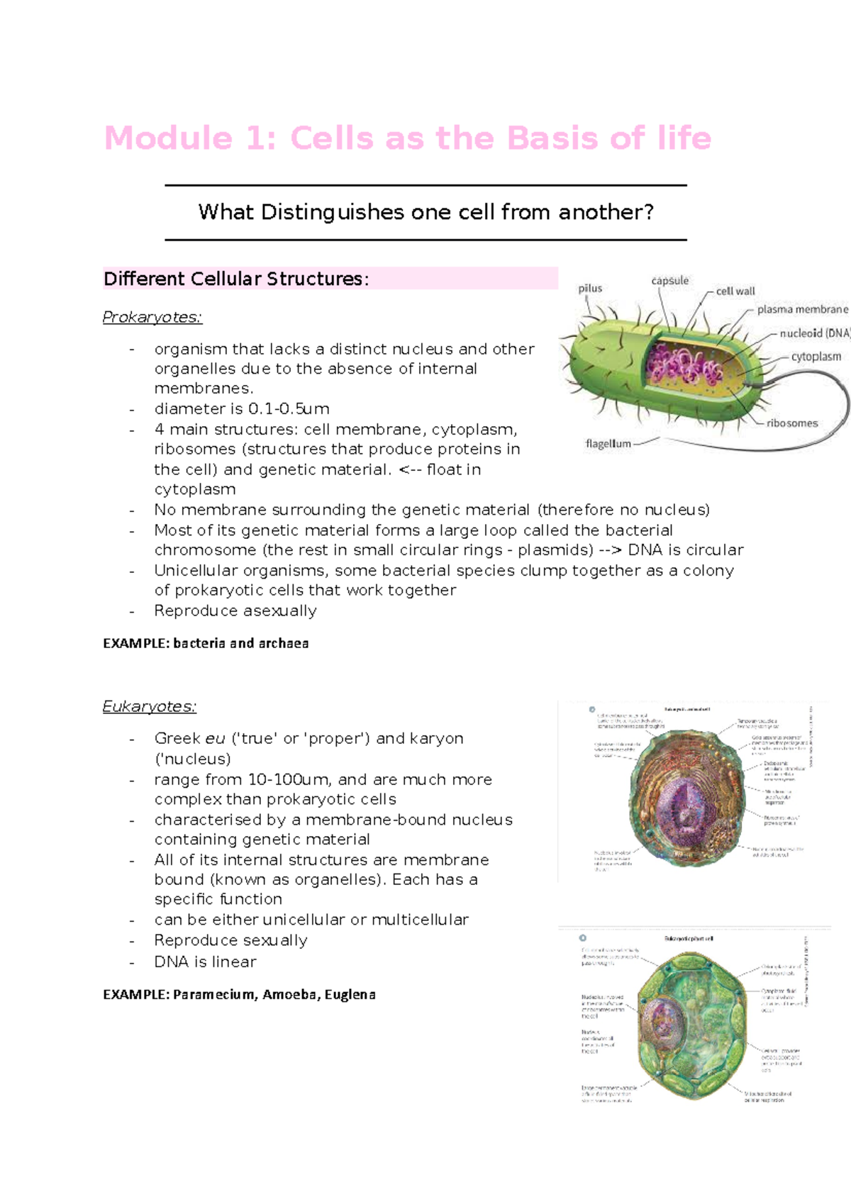 Module 1 - notes - Module 1: Cells as the Basis of life What ...
