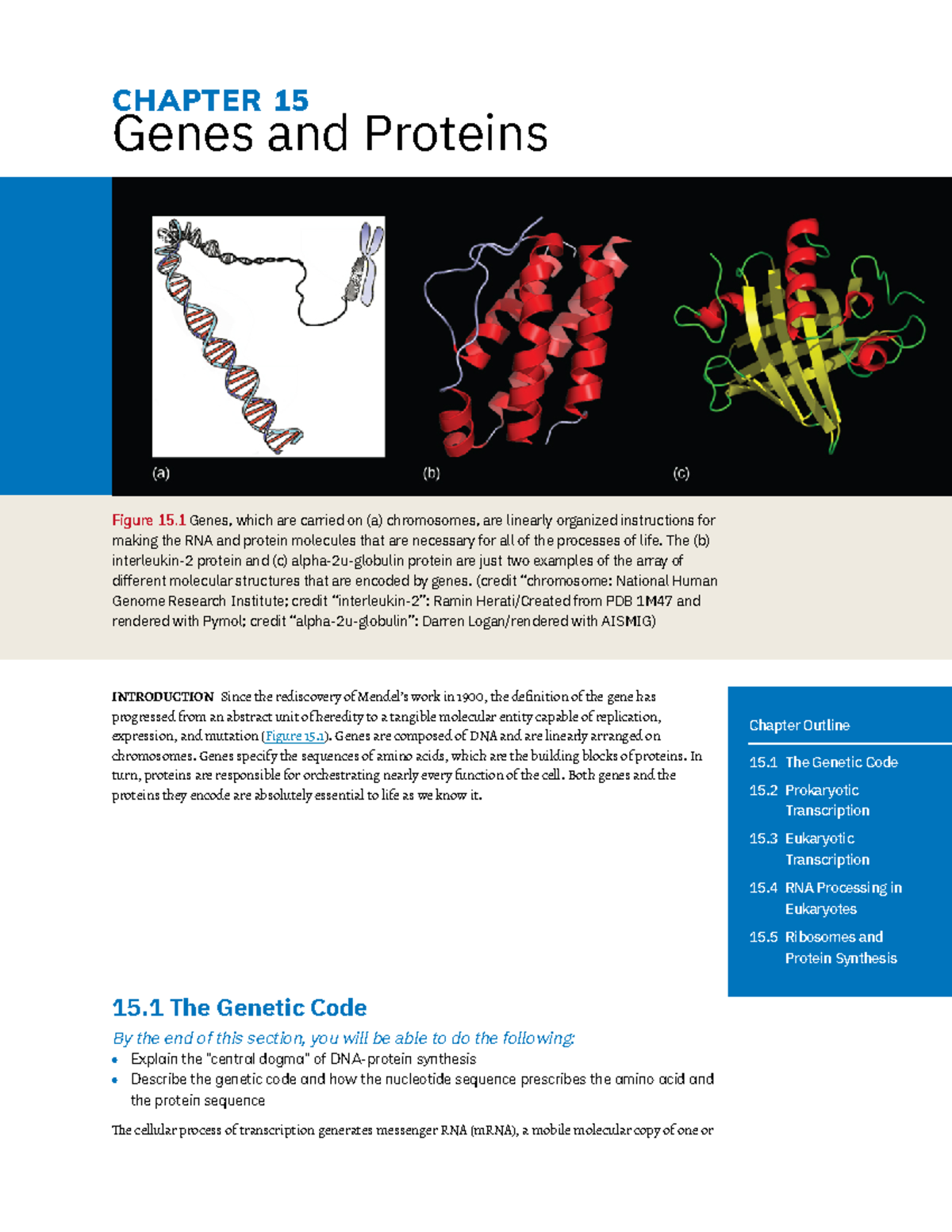 Chapter 15 Genes and Proteins Part 1 - CHAPTER 15 Genes and Proteins 15 The Genetic Code By the ...
