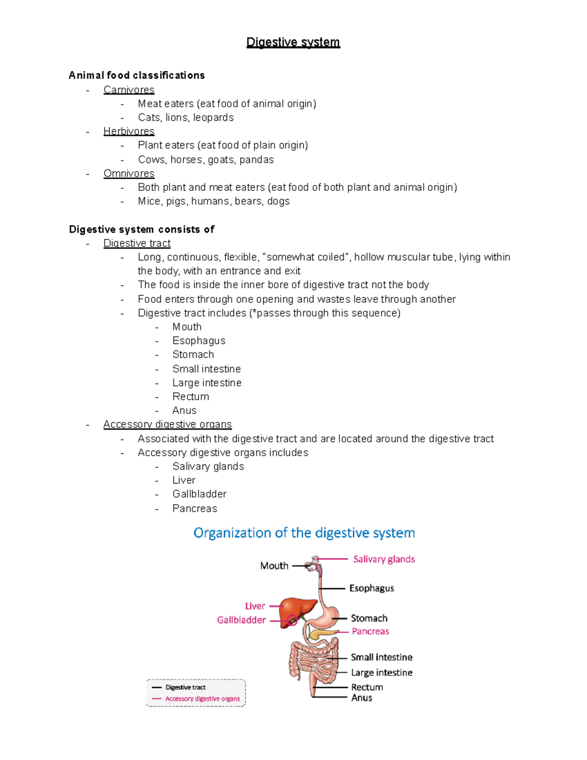 Digestive System 1 24-2 2 - Google Docs - Animal food classifications ...