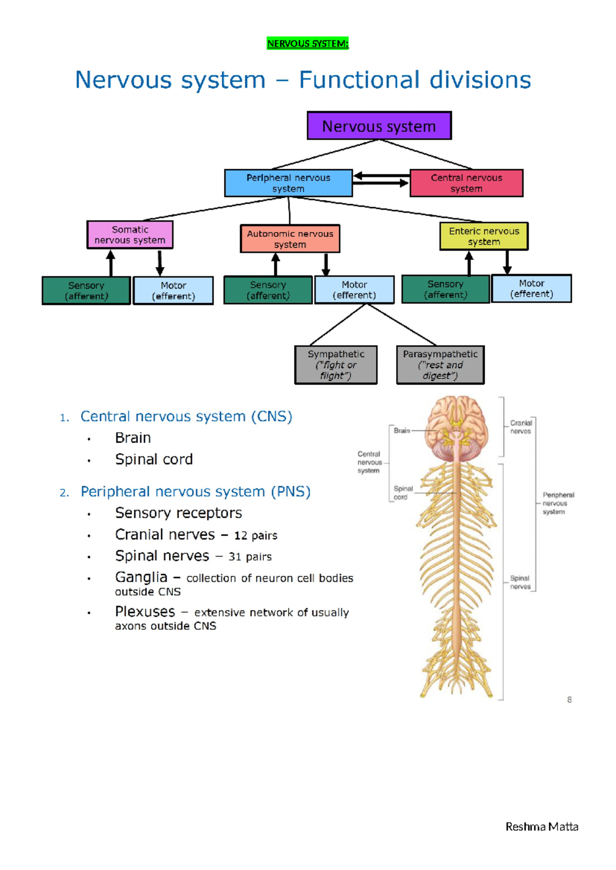 COMP 8 - Nervous System - Notes for all HSF compendiums - NERVOUS ...