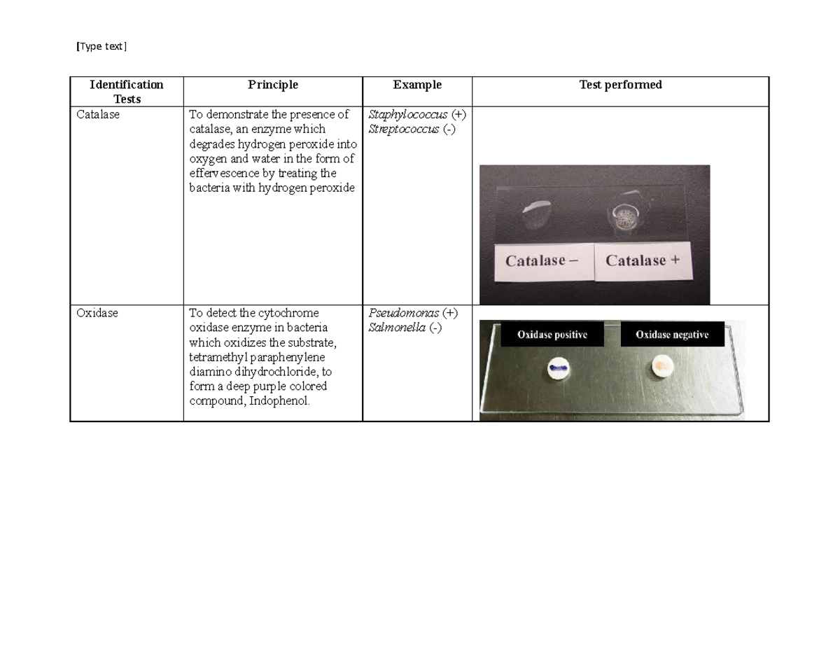 Identification Tests Assignment table - [Type text] Identification ...