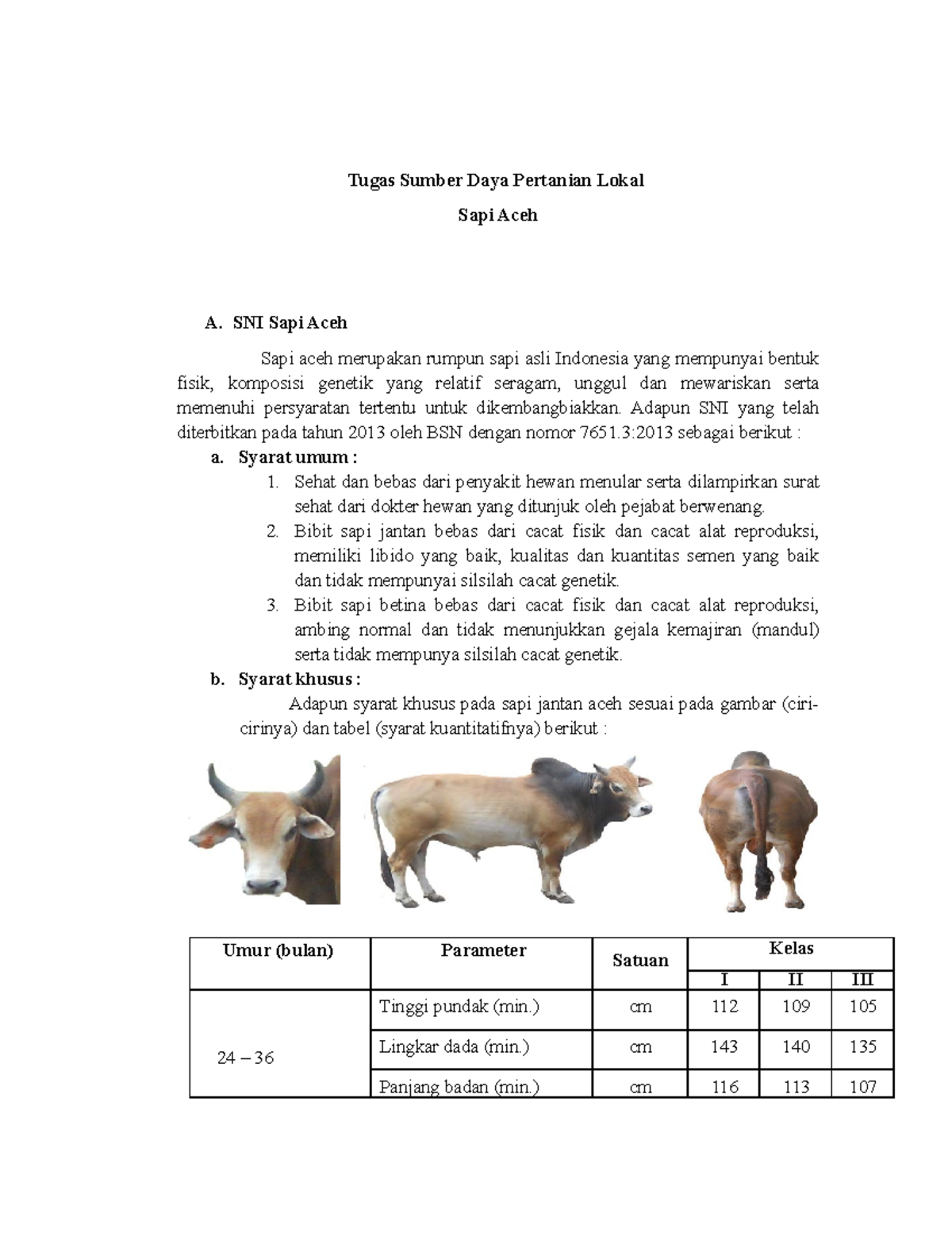 Sumber Daya Pertanian Lokal Sapi Aceh - SNI Sapi Aceh Sapi aceh ...