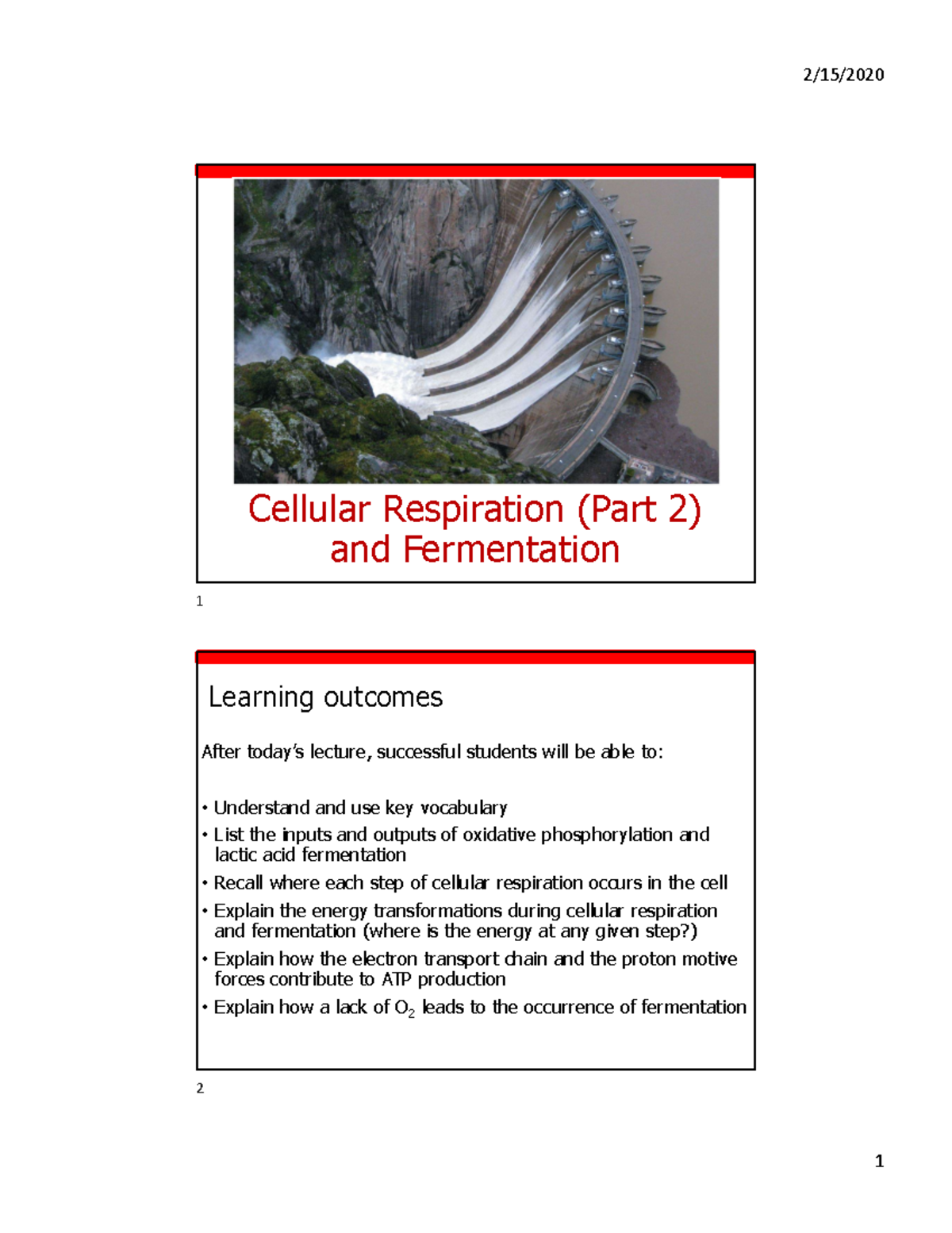 Lecture 13 - Feb18 - Cell Respiration Part 2 and Photosynthesis ...