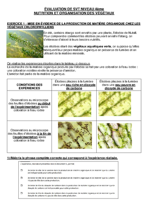 Hda banksy fiches memo eleves 3e3 - RÉCAPITULATIF DE LA STRUCTURE DE ...