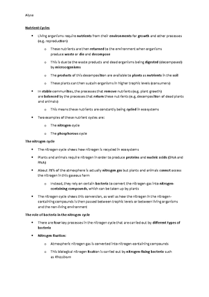 MSM outline and evaluate 16m - OUTLINE & EVALUATE THE MULTI STORE ...