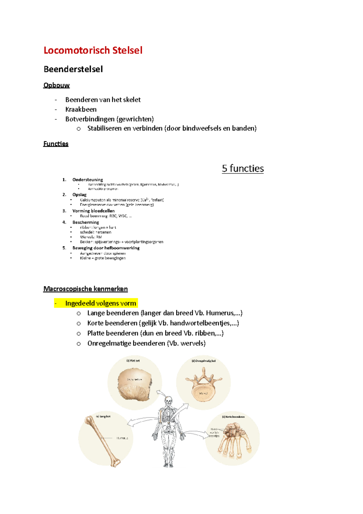 Locomotorisch Stelsel - Locomotorisch Stelsel Beenderstelsel Opbouw ...