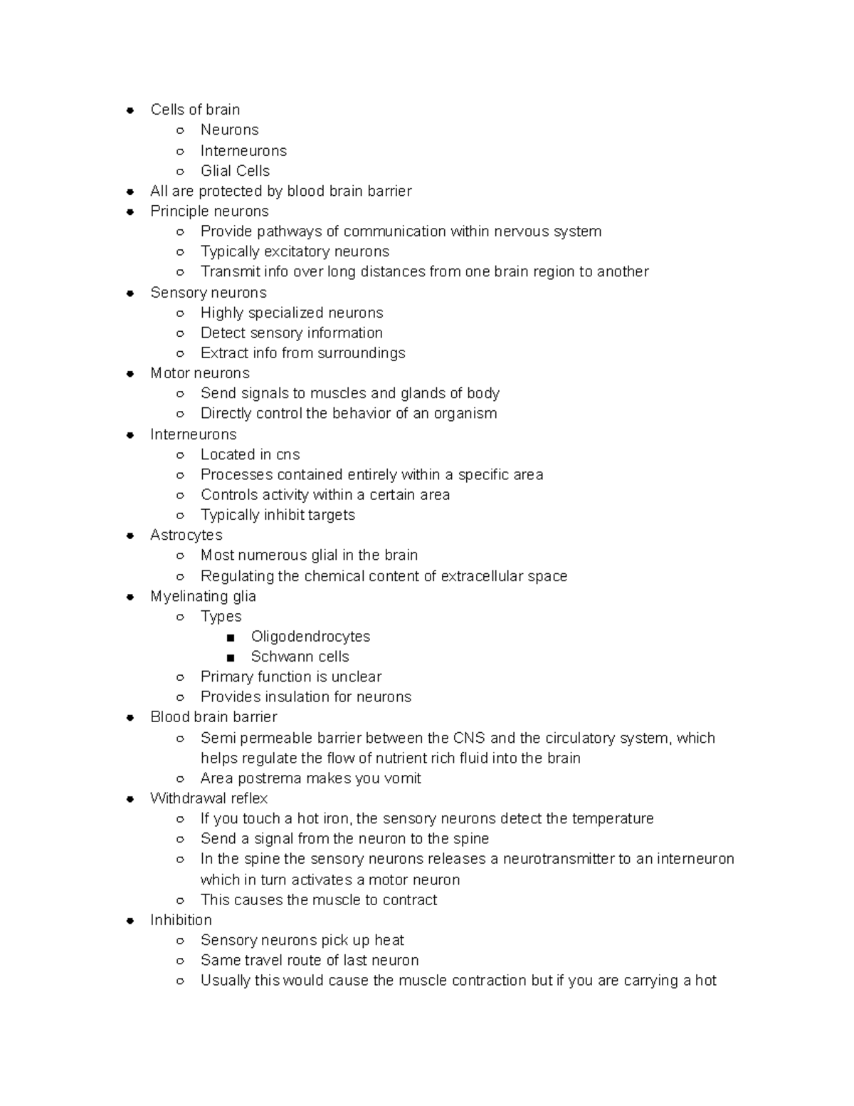 Structure and Function of The Nervous System - Cells of brain Neurons ...
