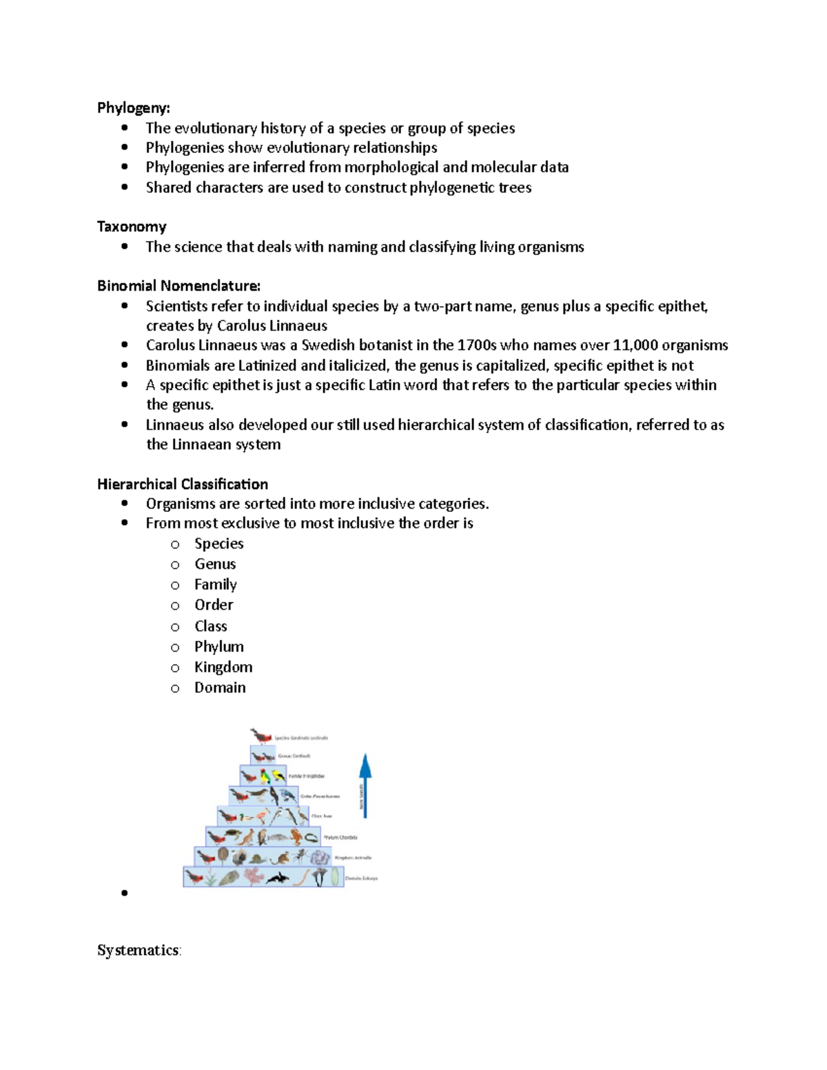 Biology Week 6 Notes - Phylogeny: The evolutionary history of a species ...