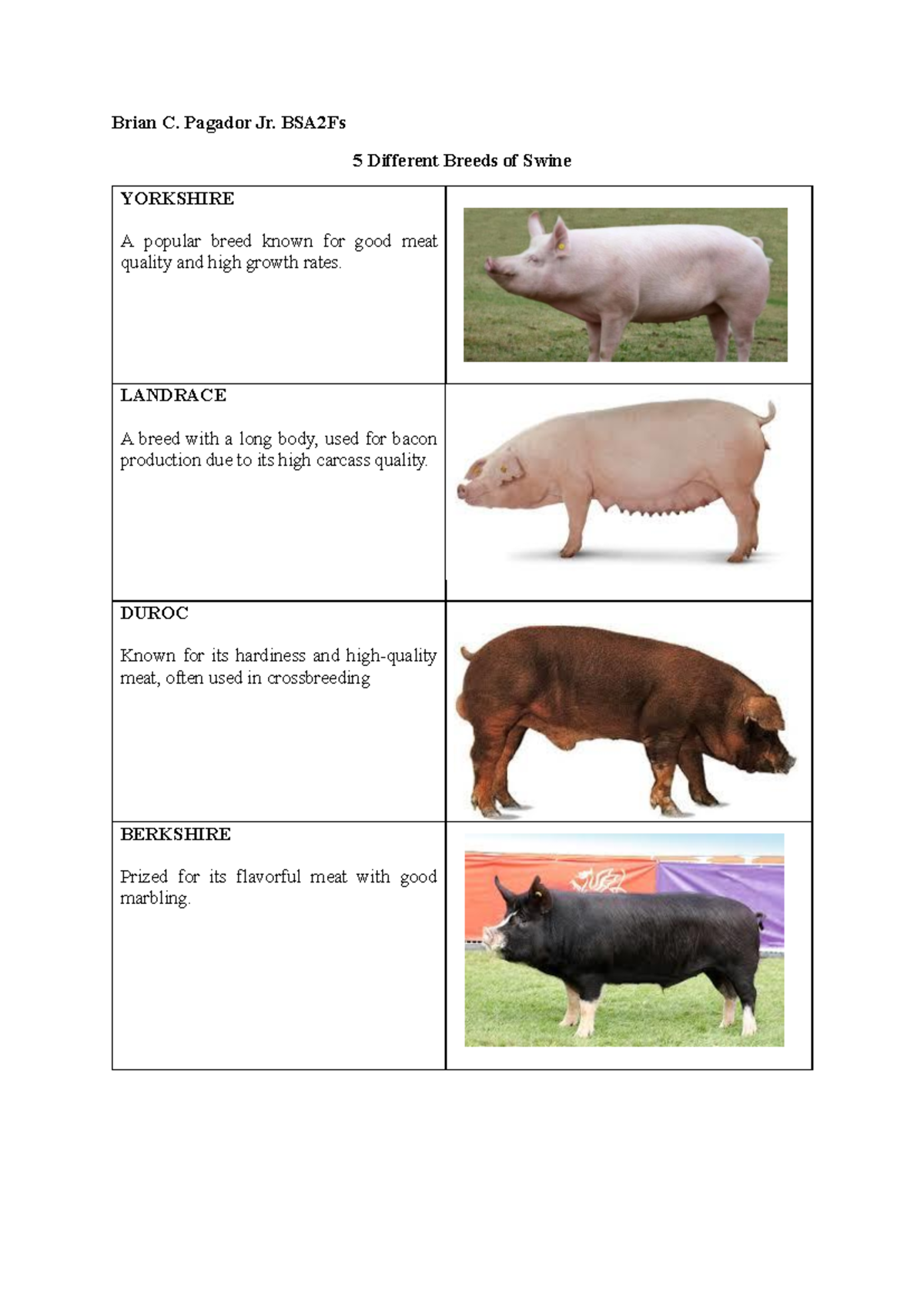 Swine Production - crop production - Brian C. Pagador Jr. BSA2Fs 5 ...