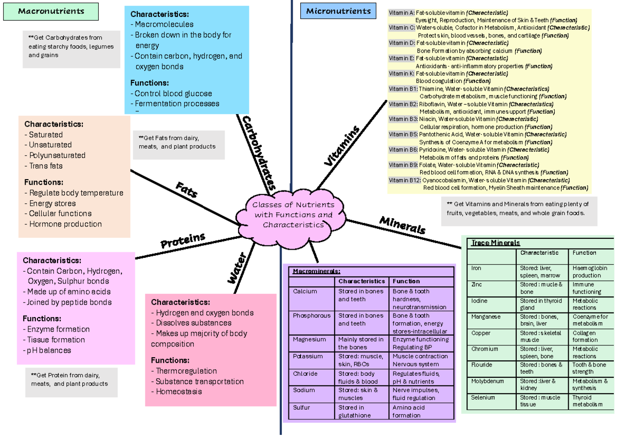 Assignment 1 Mind Map-1 - Classes of Nutrients with Functions and Characteristics Macronutrients ...