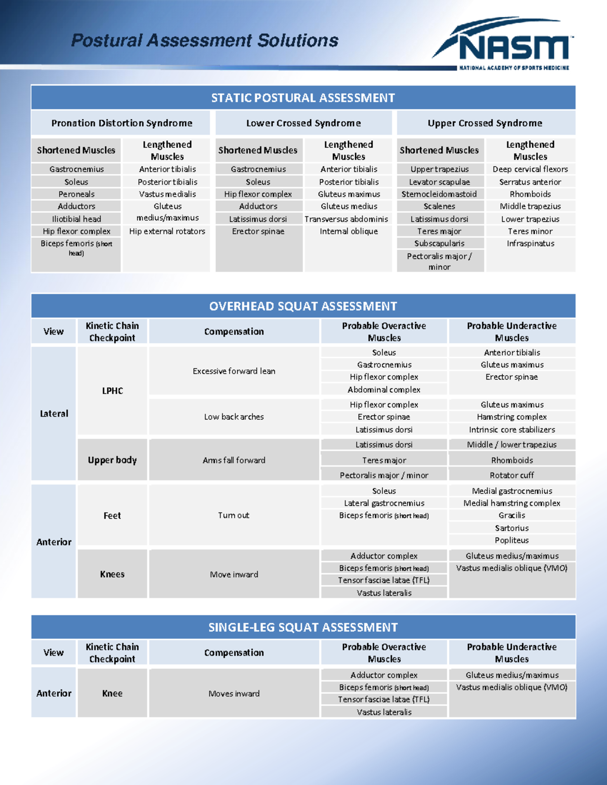 Nasm-cpt assessment solutions table cpt6-update - Postural Assessment ...