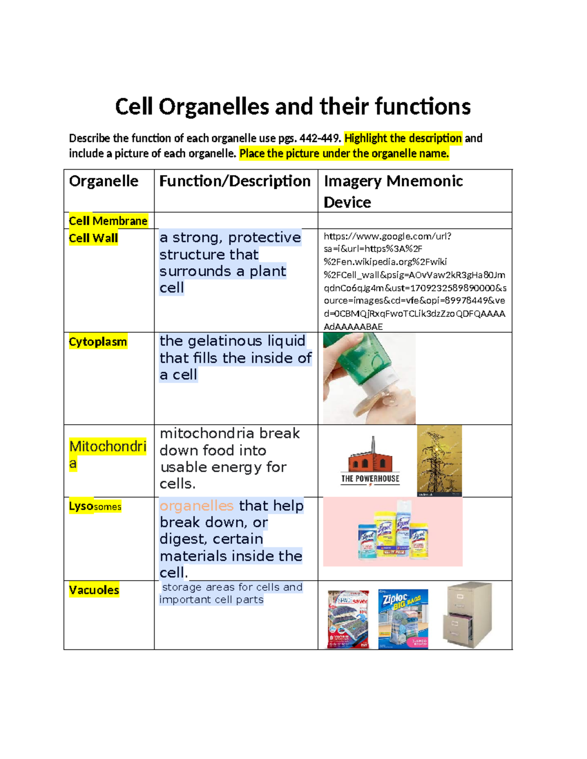 Cell Notes - 65tttdtssss - Cell Organelles and their functions Describe ...