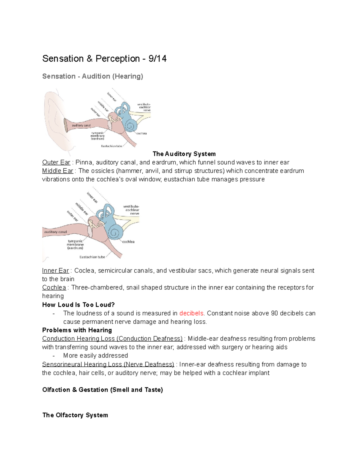 PSY 110 Notes - 9/14/22 - Sensation & Perception - 9/ Sensation ...